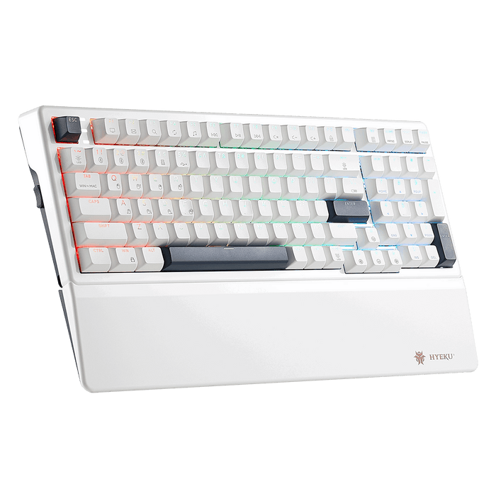 WarpSpeed E4 Pro 99-Keys RGB Wireless Mechanical Keyboard | Hexgears