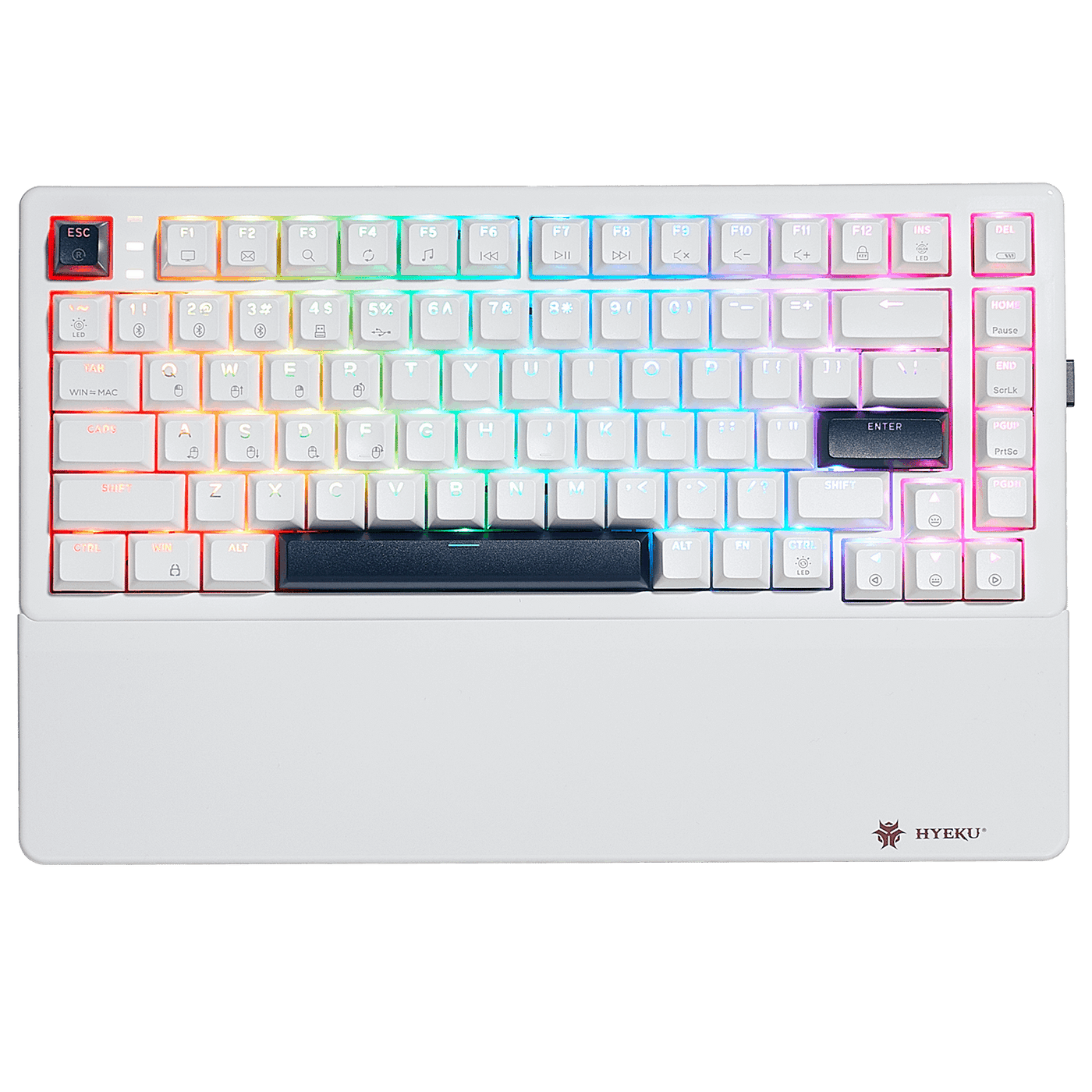 Hexgears E2 Pro Tenkeyless Keyboard with RGB Lighting | Hexgears