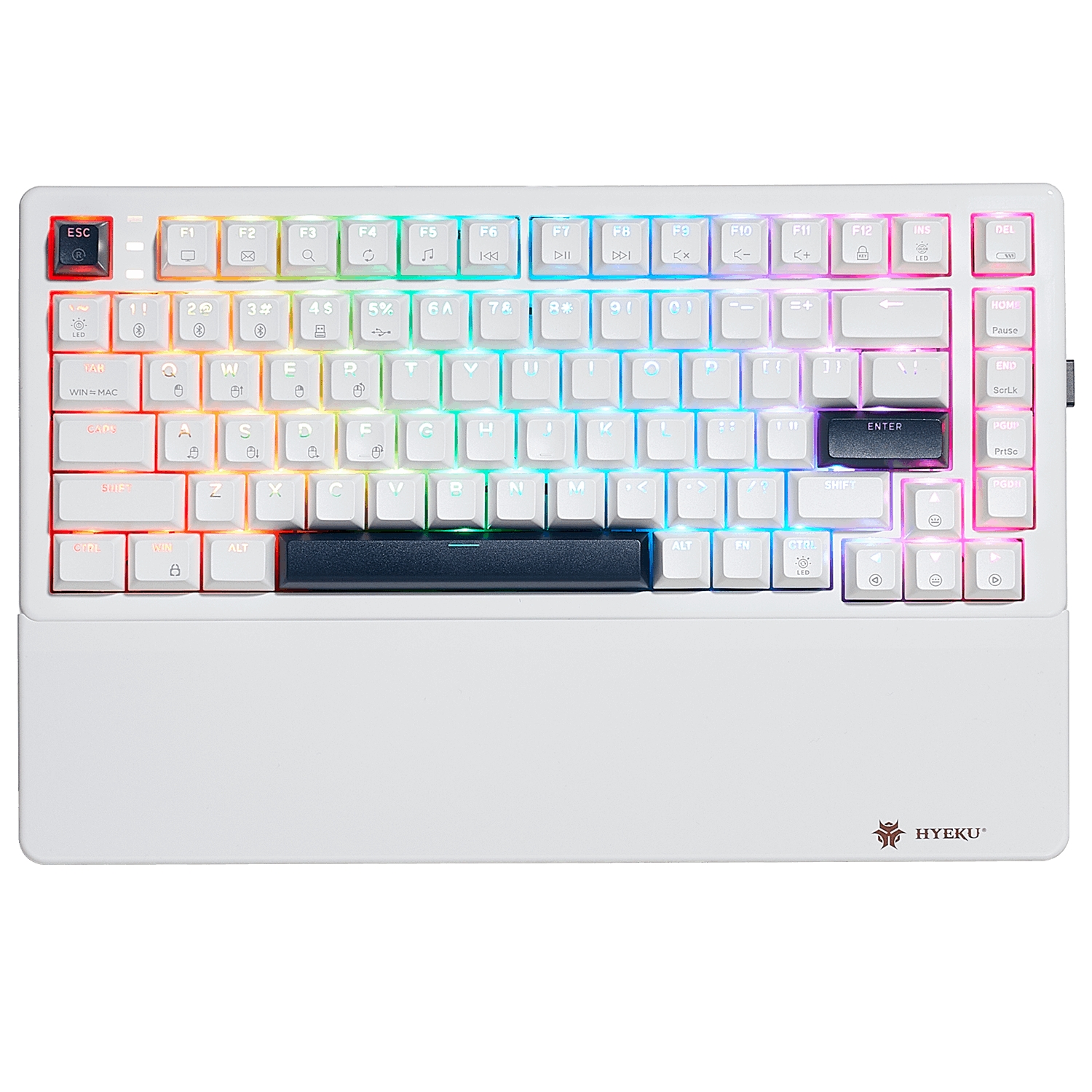 Hexgears E2 Pro Tenkeyless Keyboard with RGB Lighting | Hexgears
