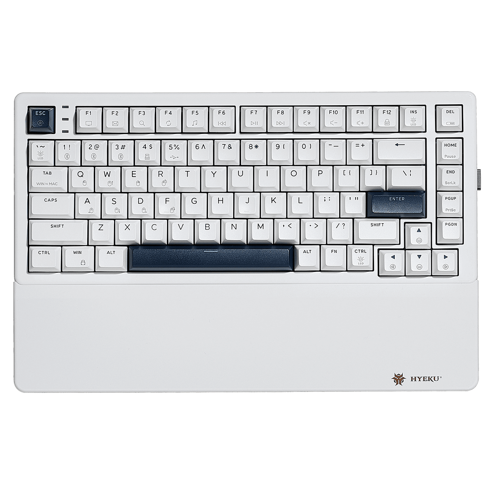 Hexgears E2 Pro Tenkeyless Keyboard with RGB Lighting | Hexgears