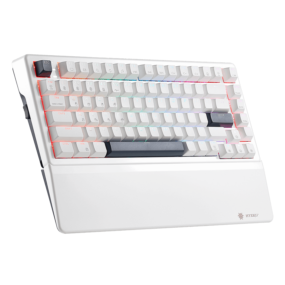 Hexgears E2 Pro Tenkeyless Keyboard with RGB Lighting | Hexgears