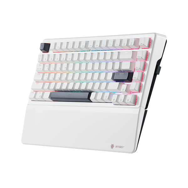 Hexgears E2 Pro Tenkeyless Keyboard with RGB Lighting | Hexgears