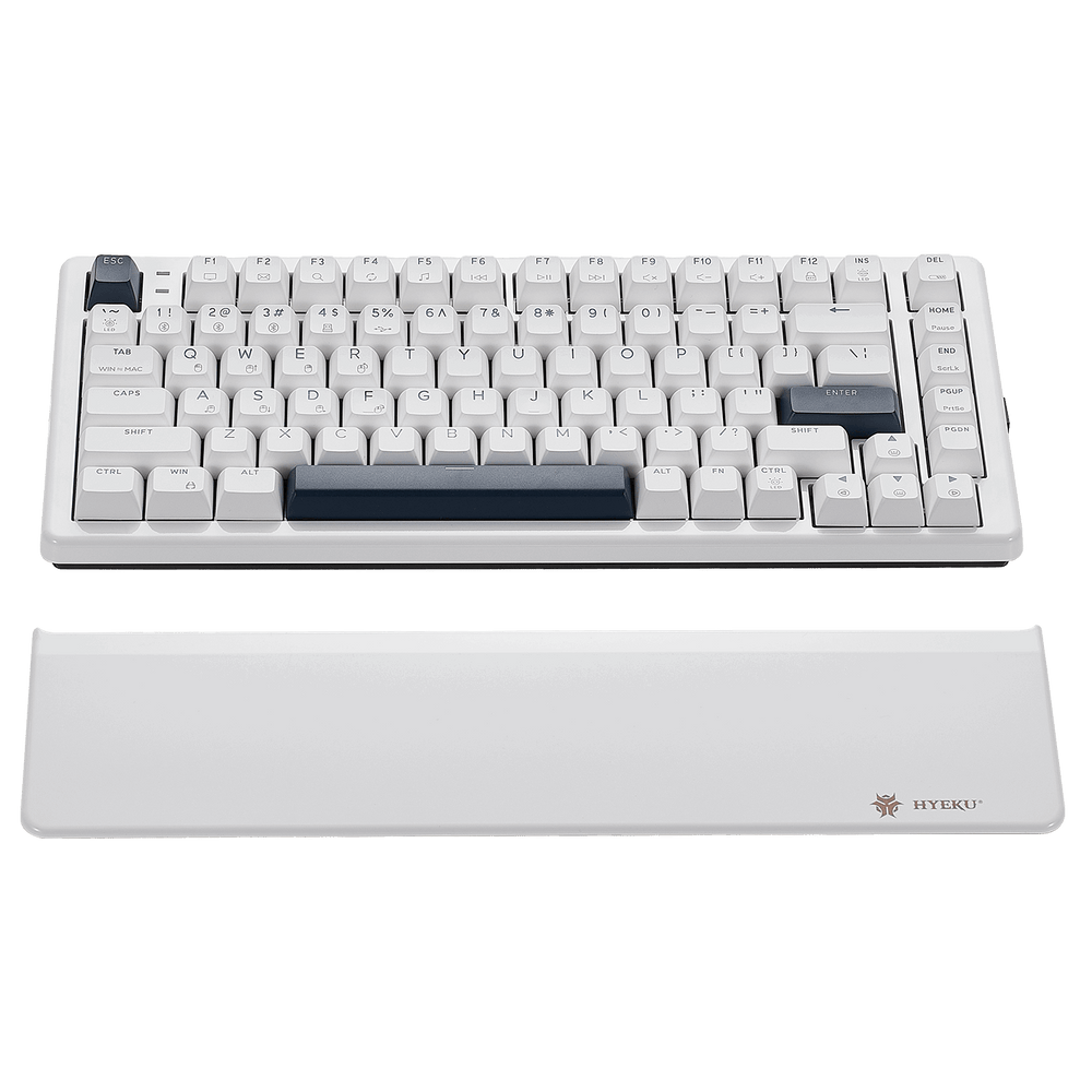 Hexgears E2 Pro Tenkeyless Keyboard with RGB Lighting | Hexgears