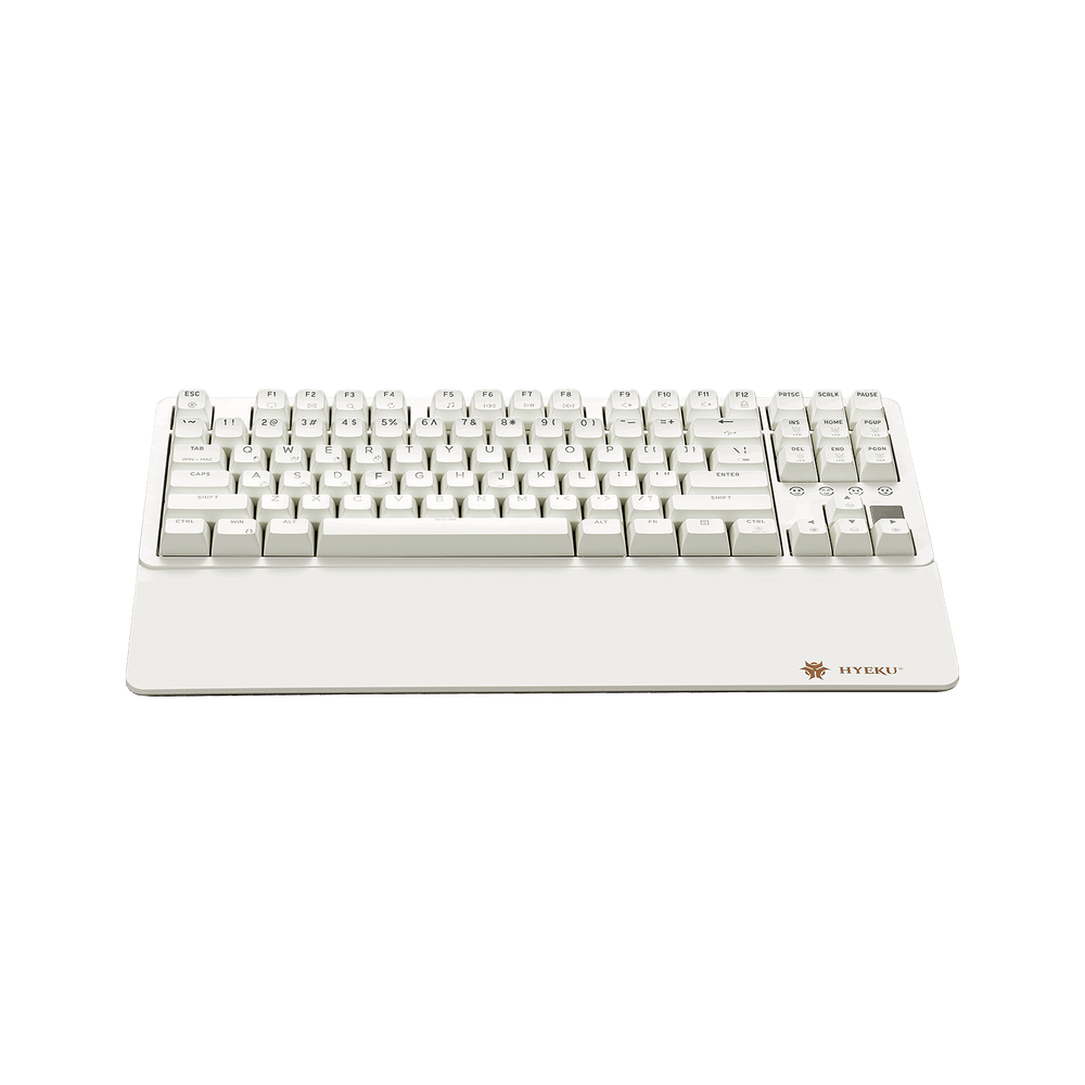 Hexgears CloudStrike Y3 TKL Wireless RGB Mechanical Keyboard